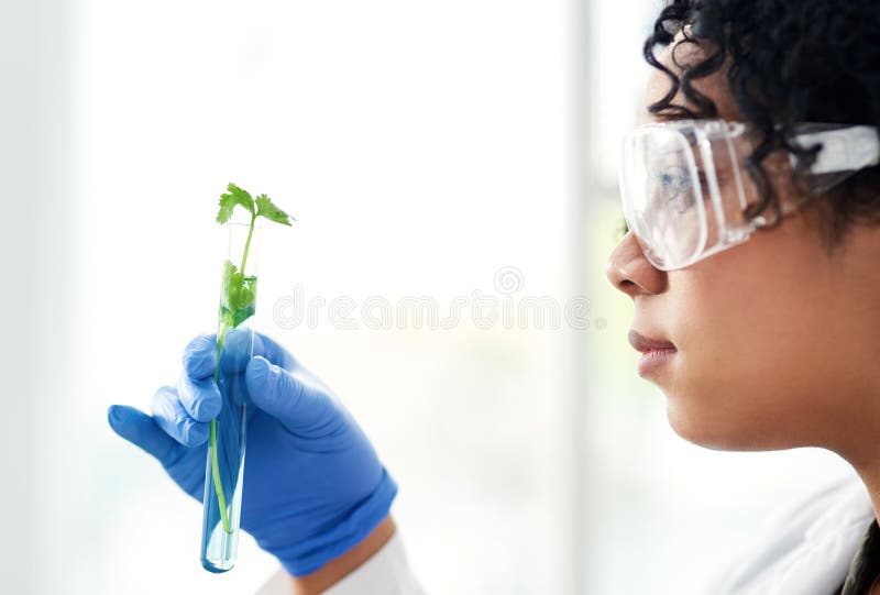 She Has Excellent Analytical Skills. a Female Scientist Analyzing a ...