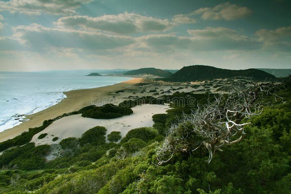 Hasan Beach, Northern Cyprus Stock Image - Image of blue, bush: 1935547