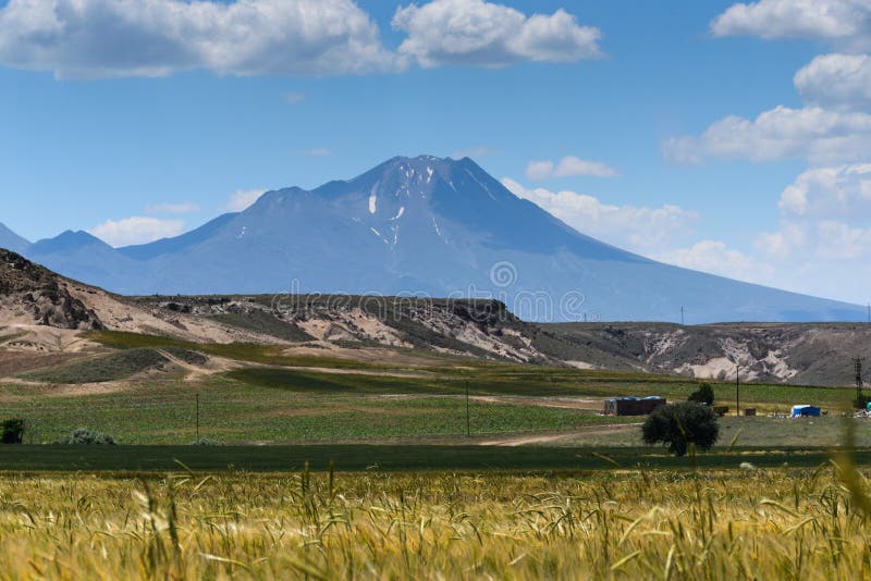 Hasan Mountain with Grass Field Editorial Image - Image of cappadocia ...
