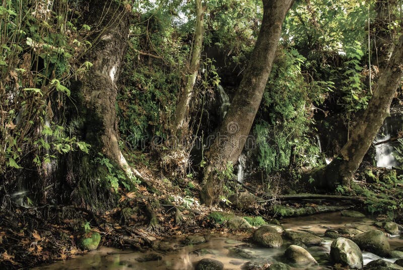 Hasbani Snir River and Reservation in North Israel Stock Image - Image ...