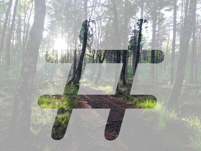 129 Tree Logo Transparent Background Stock Photos - Free & Royalty-Free ...