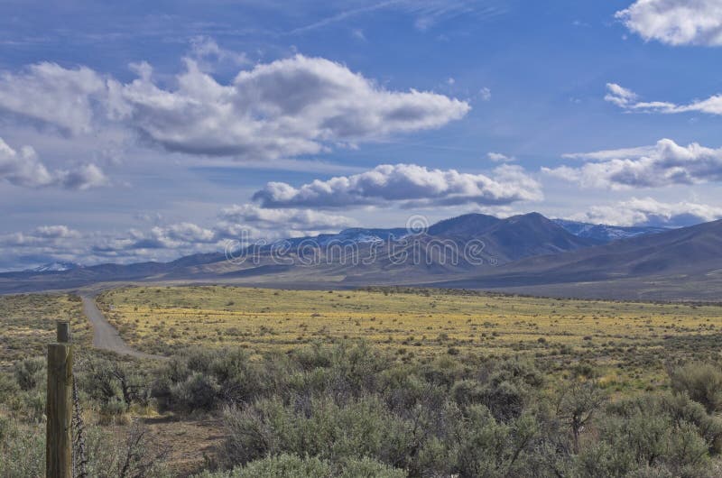 Haskell Peak with Great Basin Flora and Sierra NV Backdrop Stock Photo ...