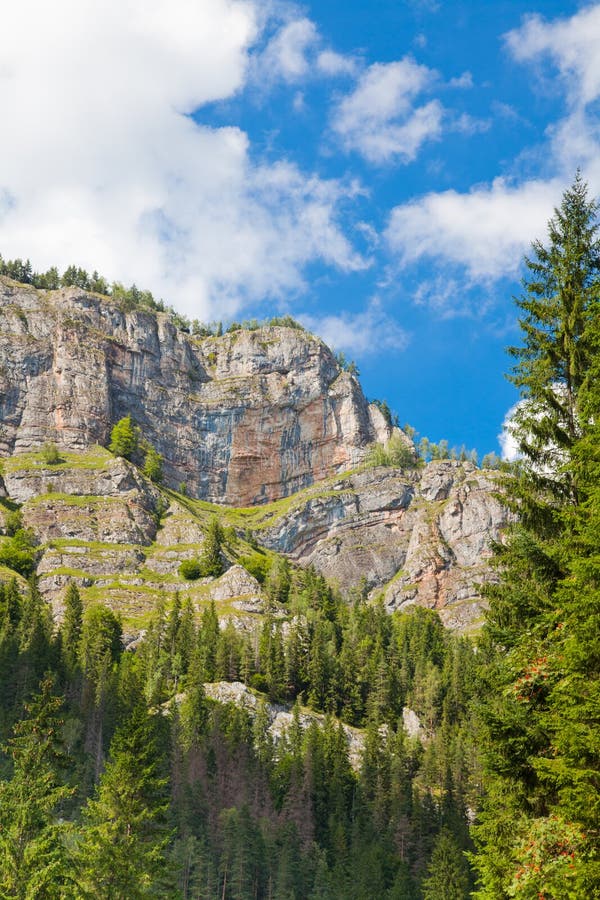 Hasmas Mountains stock image. Image of romania, scenery - 15727375