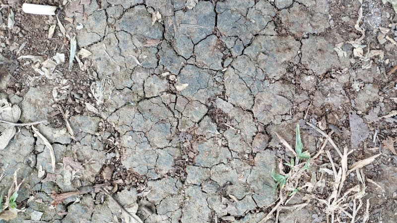 It Hasnt Rained for Several Months, Causing the Ground To Dry Out ...