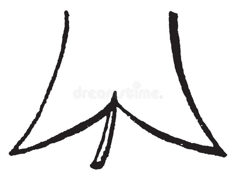 Hastate Vintage Illustration Stock Vector - Illustration of triangular ...