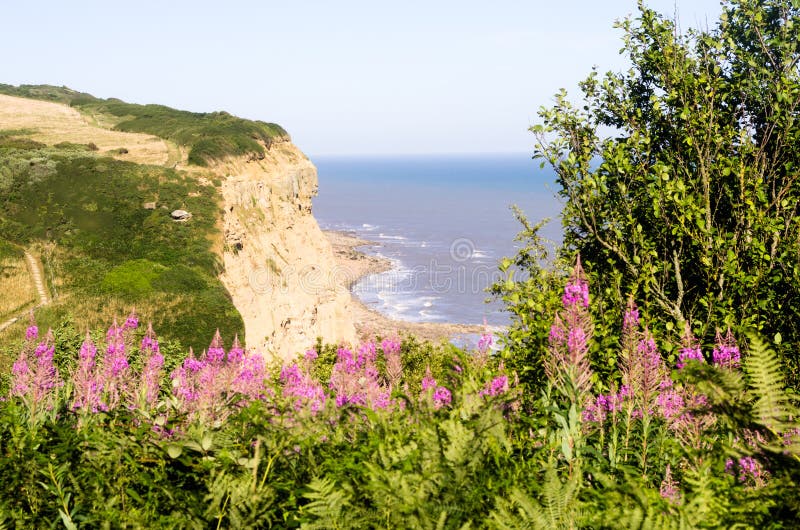 Hastings stock image. Image of outdoors, nature, scenery - 36636793