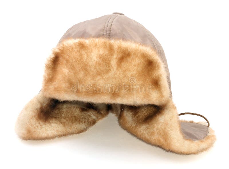 Flaps Up stock image. Image of flying, wing, beak, wildlife - 8470479