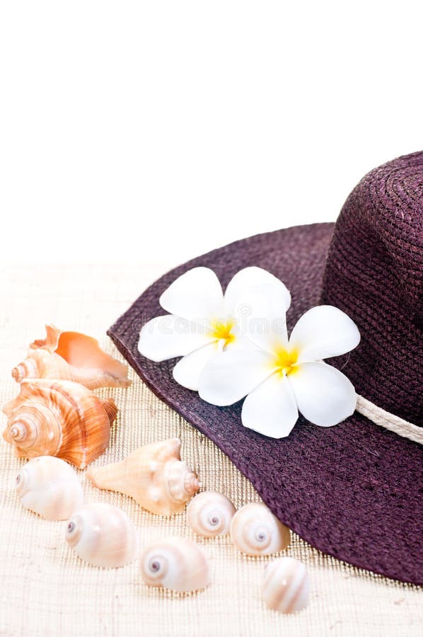 Hat, Flower and Sea Shells As a Holiday Concept Stock Image - Image of ...