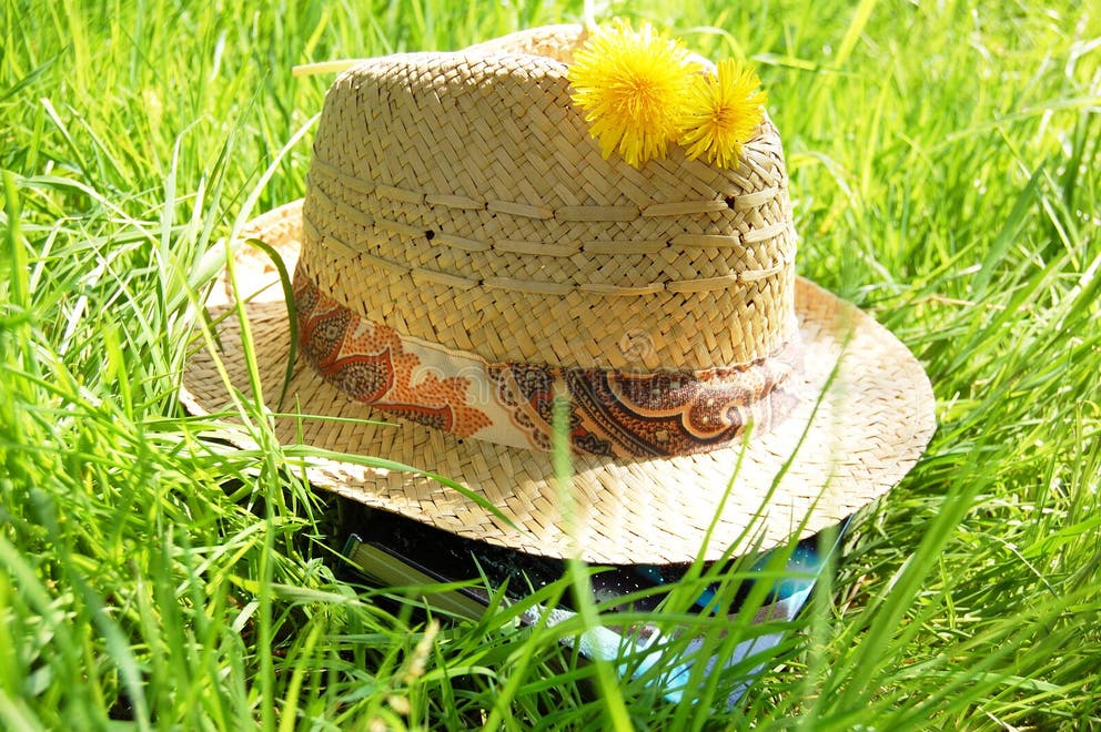 Hat on the grass stock photo. Image of grass, straw, summer - 22883306