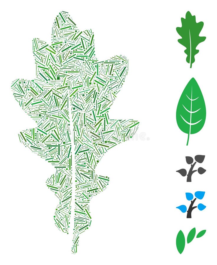 Hatch Collage Oak Leaf Icon Stock Illustration - Illustration of ...