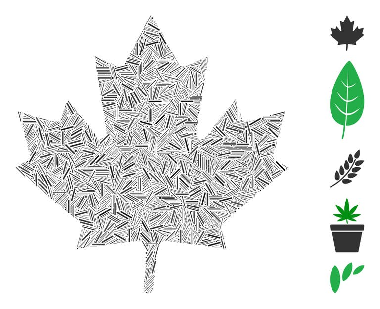 Hatch Mosaic Maple Leaf stock illustration. Illustration of natural ...