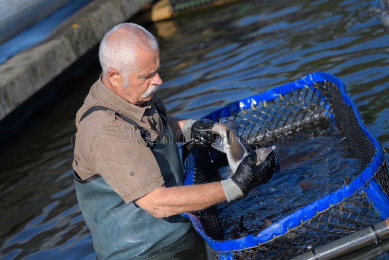 255 Aquaculture Netting Stock Photos - Free & Royalty-Free Stock Photos ...