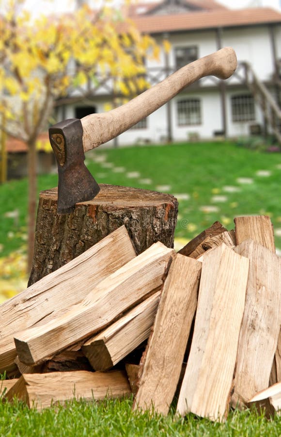 Axe in wood stock photo. Image of axes, lumberjack, loggers - 23504506
