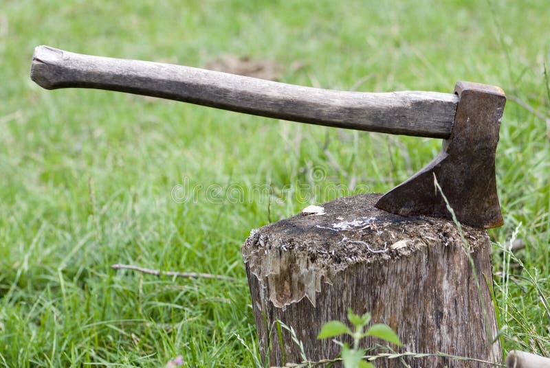 Hatchet stock photo. Image of grass, hatchet, slaughter - 6360506