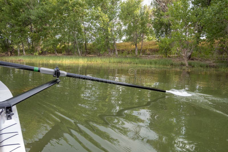 Hatchet Sculling Oar on a Calm Lake Stock Photo - Image of hatchet ...