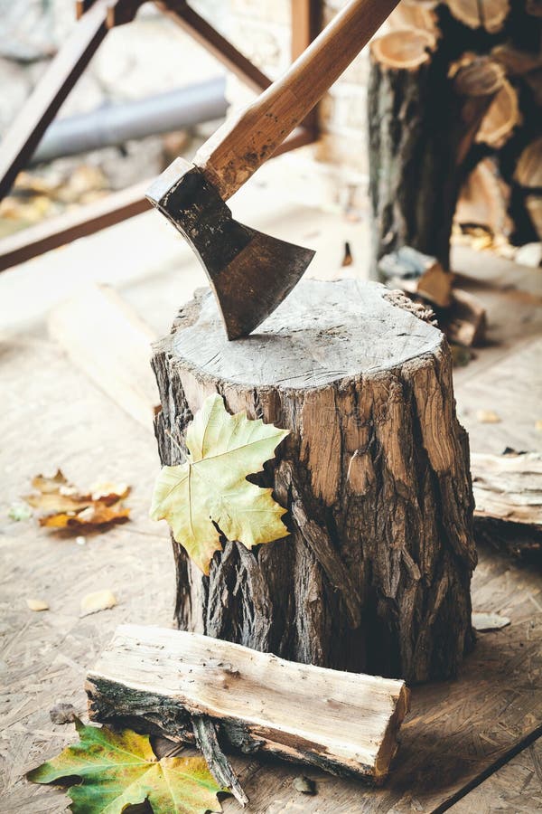 Logs Cut In Half On A Beautiful Blurred Background Stock Photo - Image ...