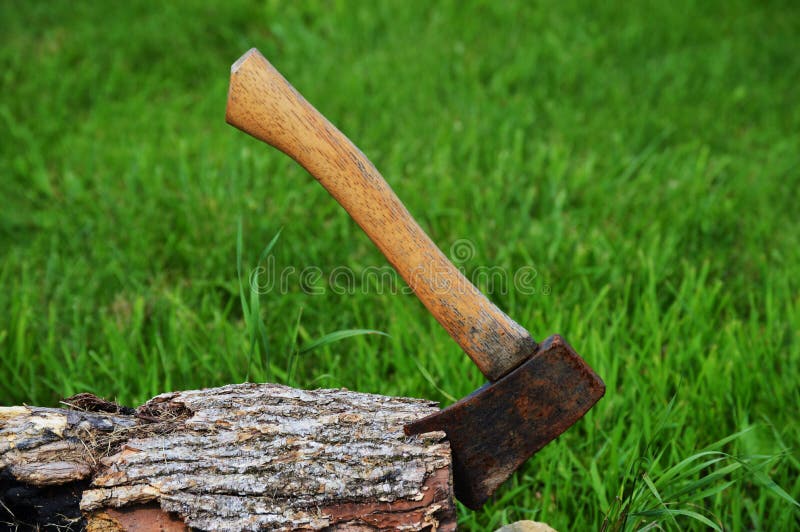 Camping Hatchet stock image. Image of wood, chop, handle - 11119