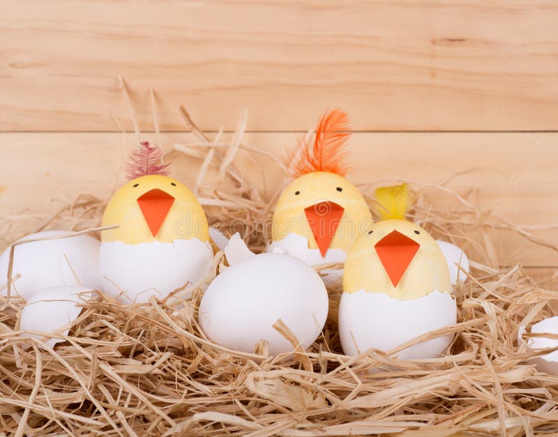 Hatching Easter egg chicks stock photo. Image of decorated - 51023816