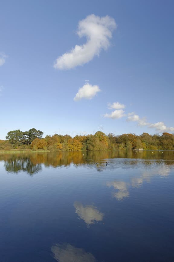 Hatfield Forest reflection stock image. Image of kingdom - 27761105