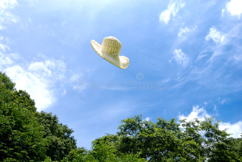Hats fly stock photo. Image of blue, green, bracing, fine - 22952452