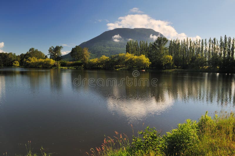 Hatzic Lake in Mission, British Columbia Stock Photo - Image of pond ...
