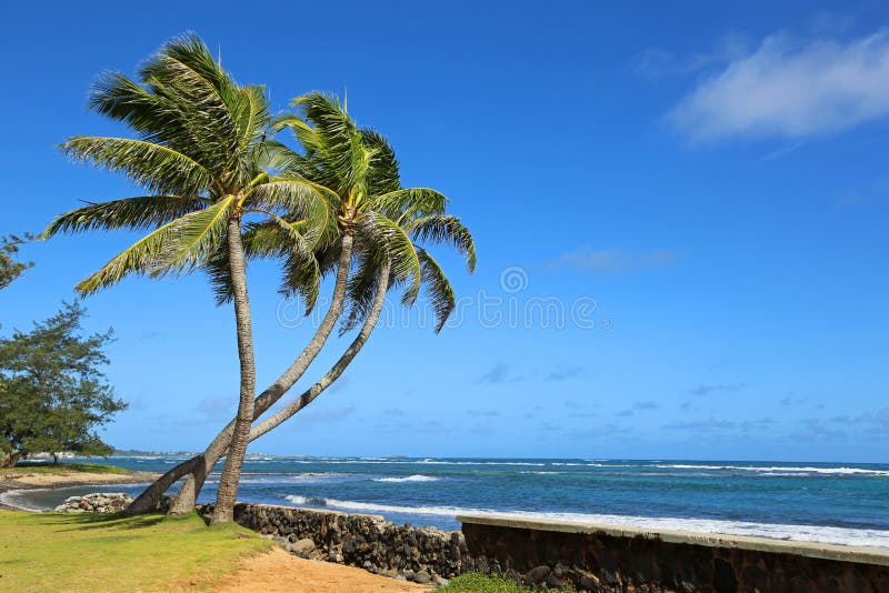 Hau'ula-Strand-Park, Oahu, Hawaii Stockbild - Bild von hawaii ...
