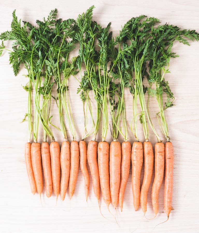 161,653 Karotten Fotos - Kostenlose und Royalty-Free Stock-Fotos von ...