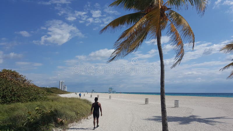Haulover Beach Florida Stock Photos - Free & Royalty-Free Stock Photos ...