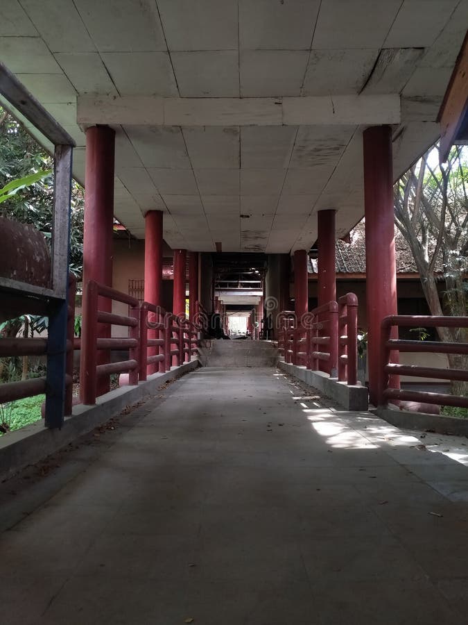Haunted red corridor stock image. Image of neighbourhood - 264351031