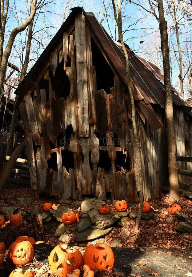 A Shack among the Trees stock image. Image of doorway - 322319899