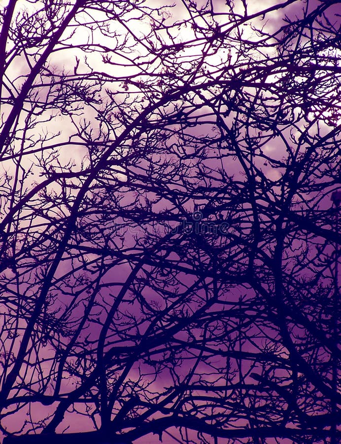 55+ Haunted trees Free Stock Photos - StockFreeImages