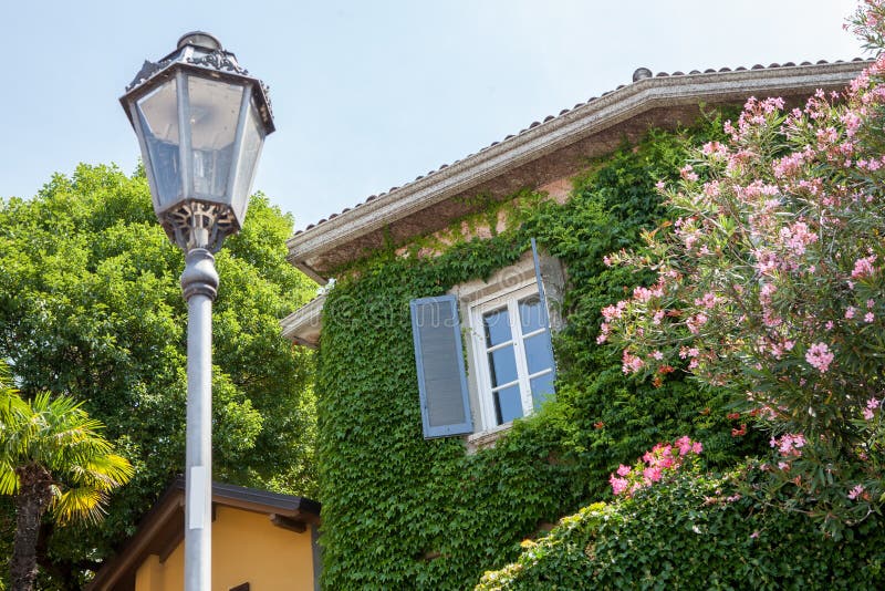 Haus Mit Efeu Und Blumen in Italien Stockfoto - Bild von architektur ...