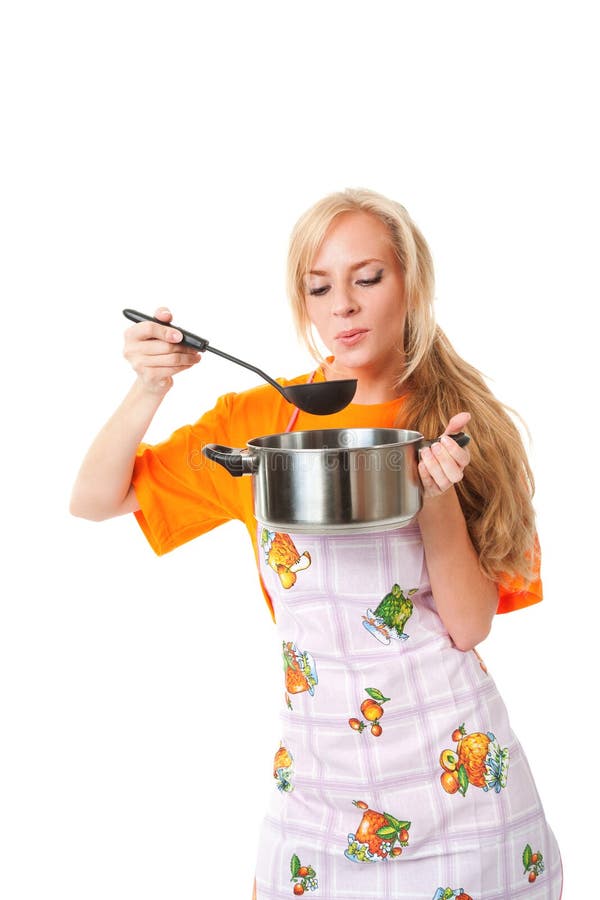 Hausfrau mit Staubsauger stockbild. Bild von staubsauger - 23934743