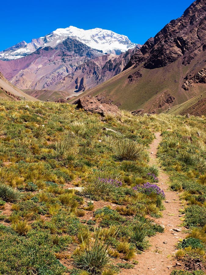Petit Chemin Dans Les Andes Parc Sajama, Bolivie Image stock - Image du ...