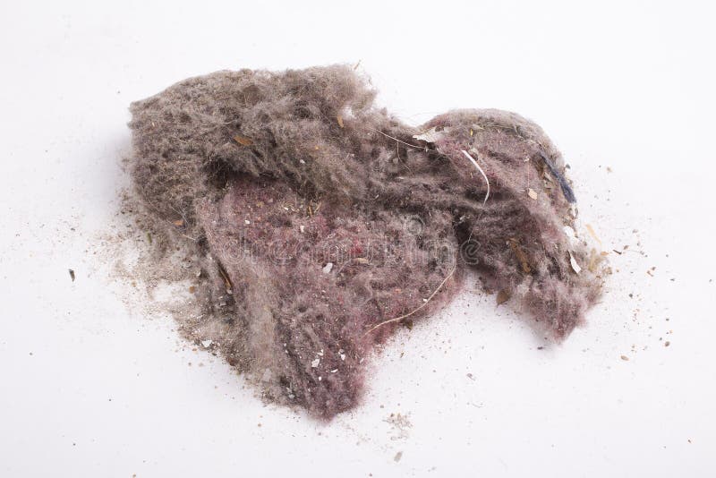 Hausstaub stockfoto. Bild von bodenbelag, besen, gesundheit - 57307944