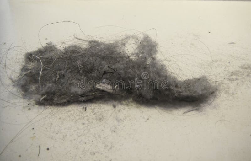 Hausstaub stockfoto. Bild von allergisch, nachrichten - 69952244