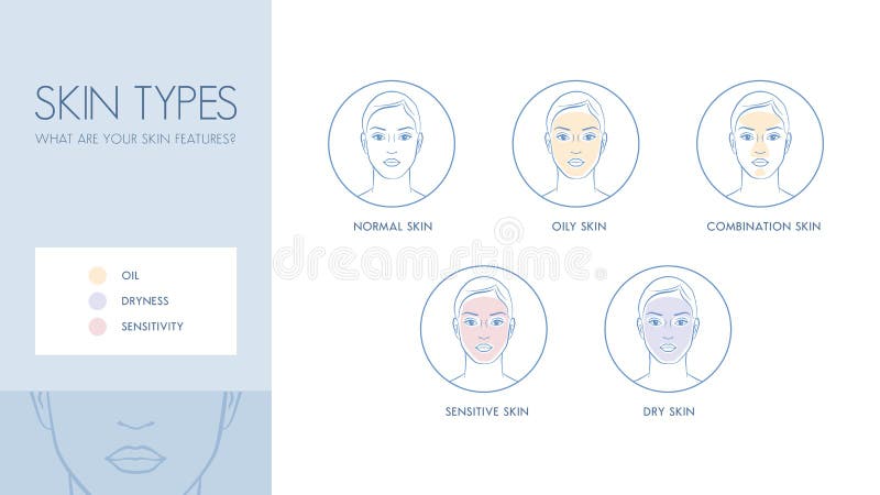 Hautarten vektor abbildung. Illustration von haut, kosmetik - 78505457