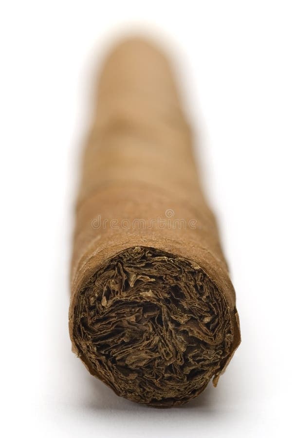 Havana Cigar macro stock photo. Image of luxury, healthy - 4800746