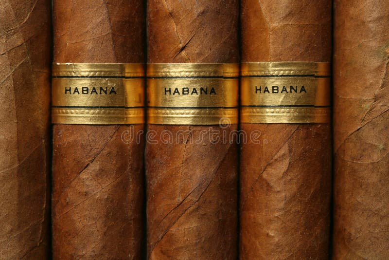 Arabic Pattern Seamless Texture Stock Photo - Image of tracery, arabic ...