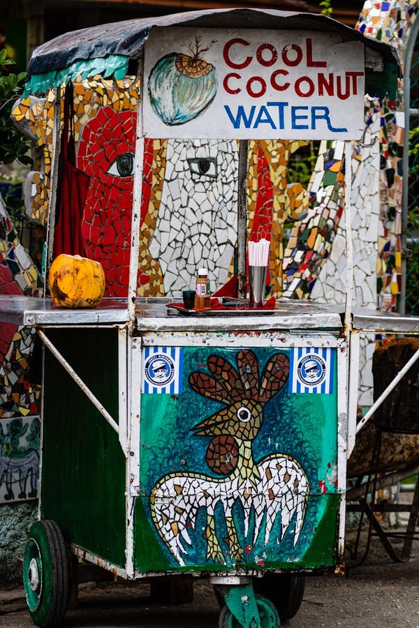 Cuba water stock photo. Image of swimming, species, dive - 66090264