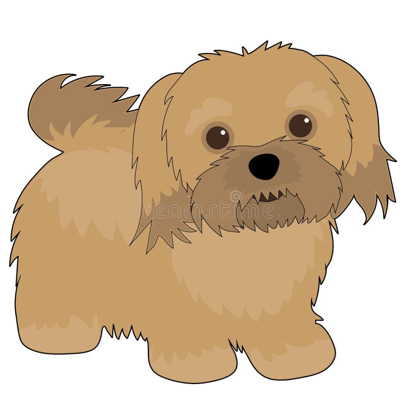 Havanese Puppy with crown stock vector. Illustration of fluffy - 36076699