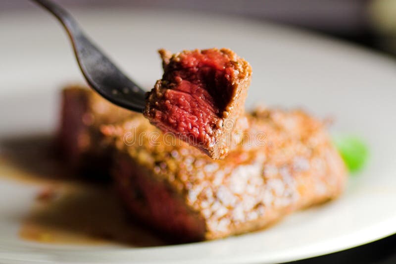 Have a bite stock photo. Image of bite, steak, nutrition - 1740754