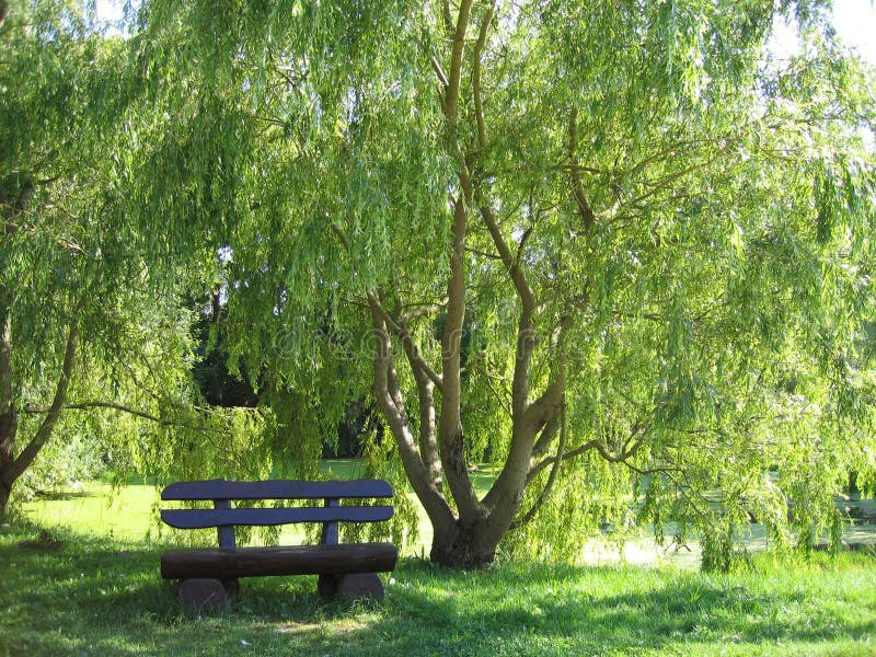 Have a break stock photo. Image of object, break, nature - 15650