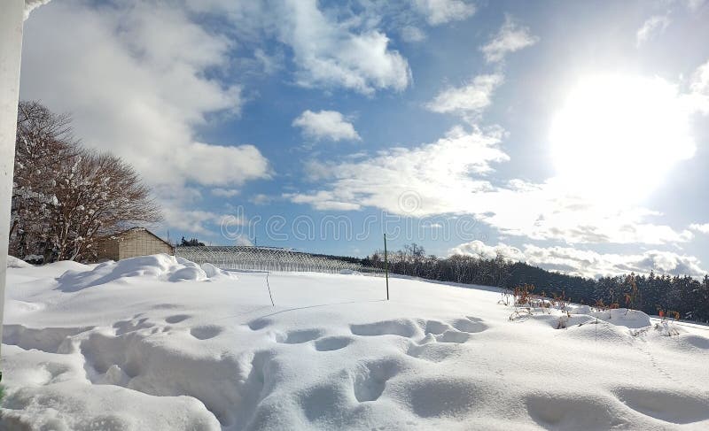 Have an ice day stock photo. Image of like, frost, snow - 274755458