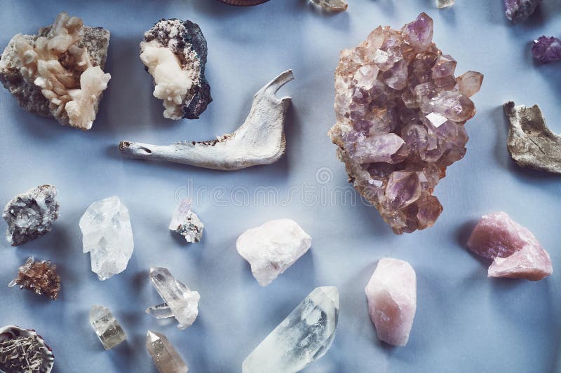 We Have a Lot To Choose from Here. High Angle Shot of a Table Filled ...