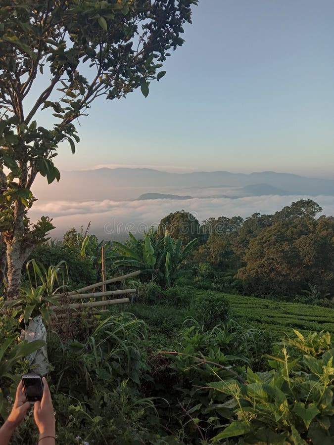 Have a Nice Sunny Morning Beautiful Stock Image - Image of beautiful ...