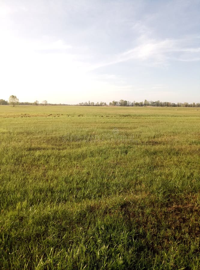 Have a nice time stock photo. Image of moment, time, steppe - 92400826