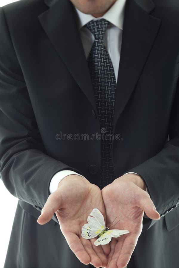 Have Scruples about Something Stock Image - Image of butterly, nature ...