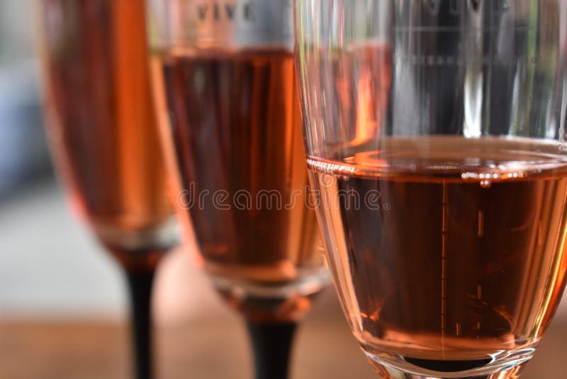 Have a wine stock photo. Image of fotografashy, vineyard - 90815854
