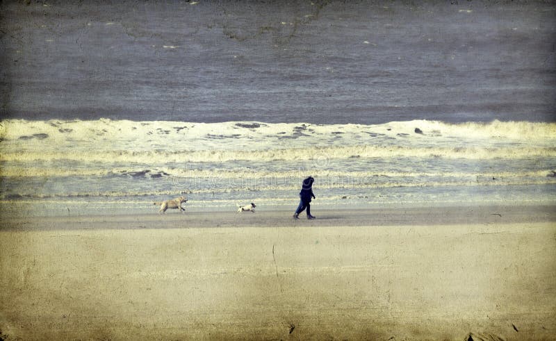 Having fun on the beach stock image. Image of girl, walk - 30529577